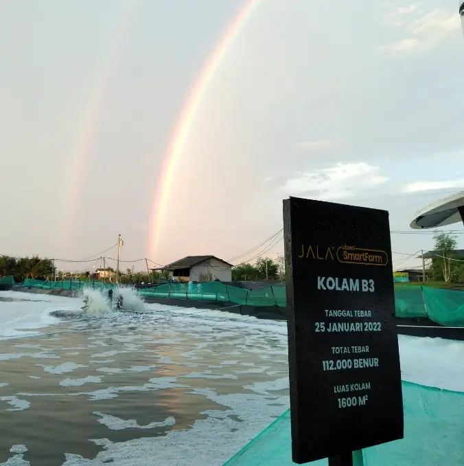 Shrimp Farm Operational Cooperation | JALA