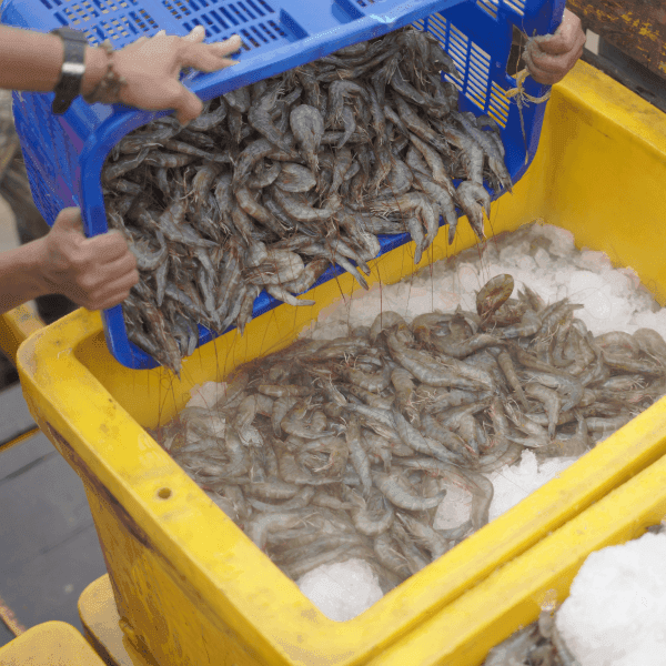 JALA for Technician | JALA